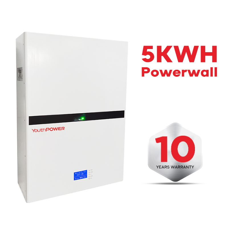 Best 5KWH 48V 51.2V 100AH LiFePO4 Powerwall Battery factory and ...